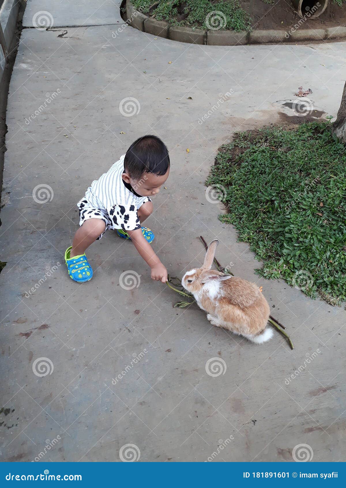 A Small Child is Feeding a Rabbit in the Park Stock Image - Image of ...