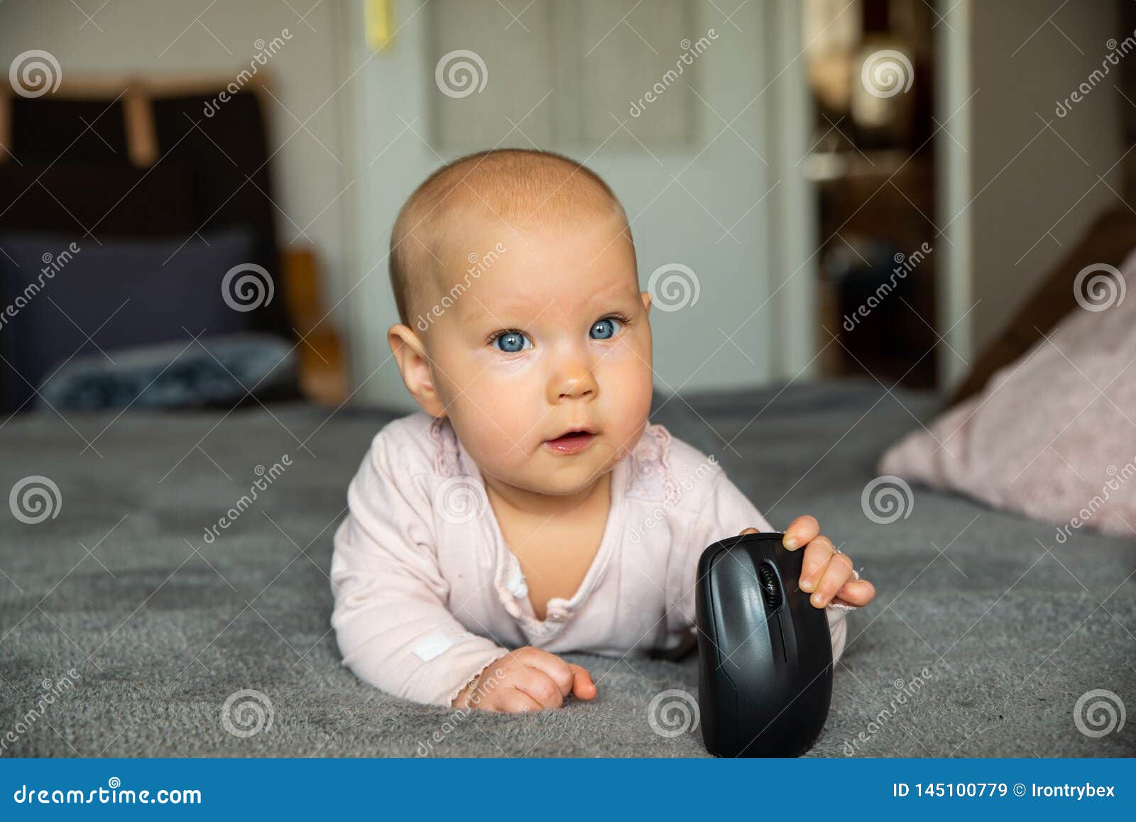 Small Child, First Steps on the Internet, a Newborn Baby is Holding a ...