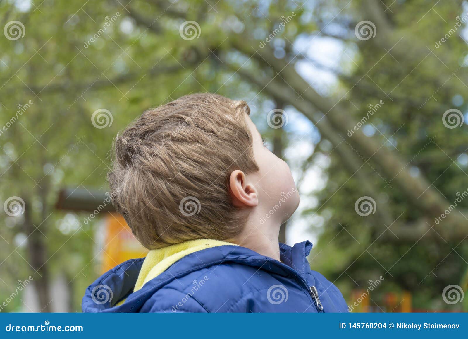 Small Child Looking Up at the Trees Stock Photo - Image of happy ...