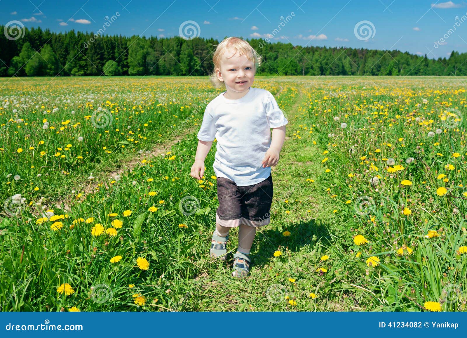 Small Child on a Meadow with Dandelions Stock Photo - Image of child ...