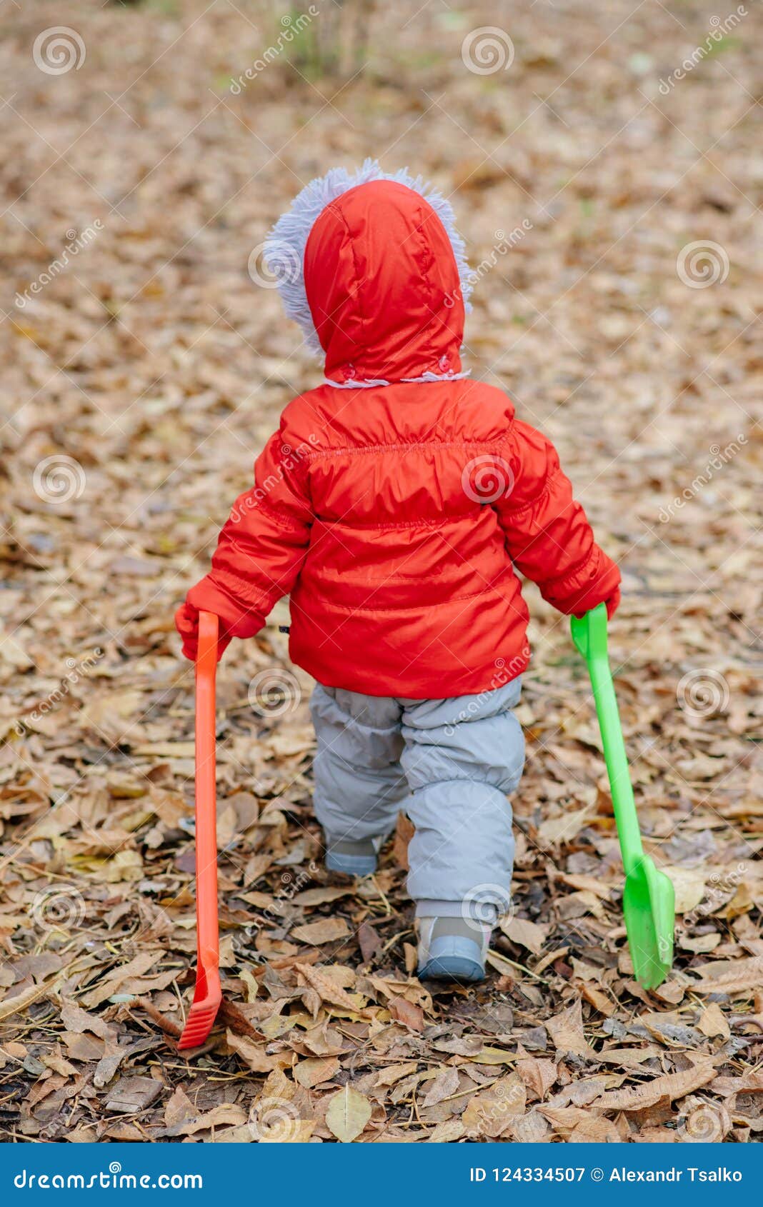 A Small Kid with a Rake and a Shovel Walks in the Park Stock Image ...