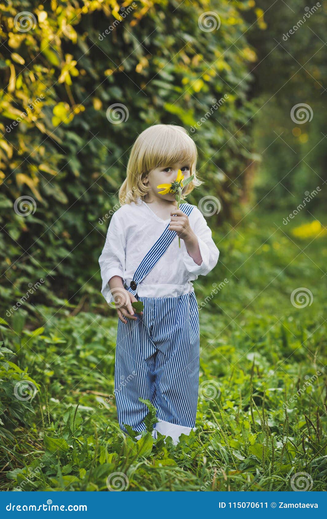 A Small Child Sniffing a Flower 4774. Stock Image - Image of outdoors ...