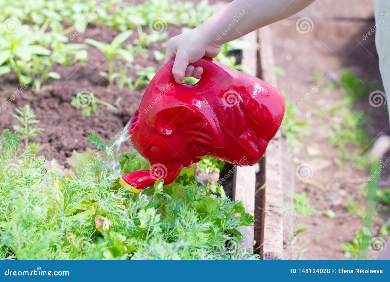 A Small Child Watering the Greenery in the Garden Stock Photo - Image ...