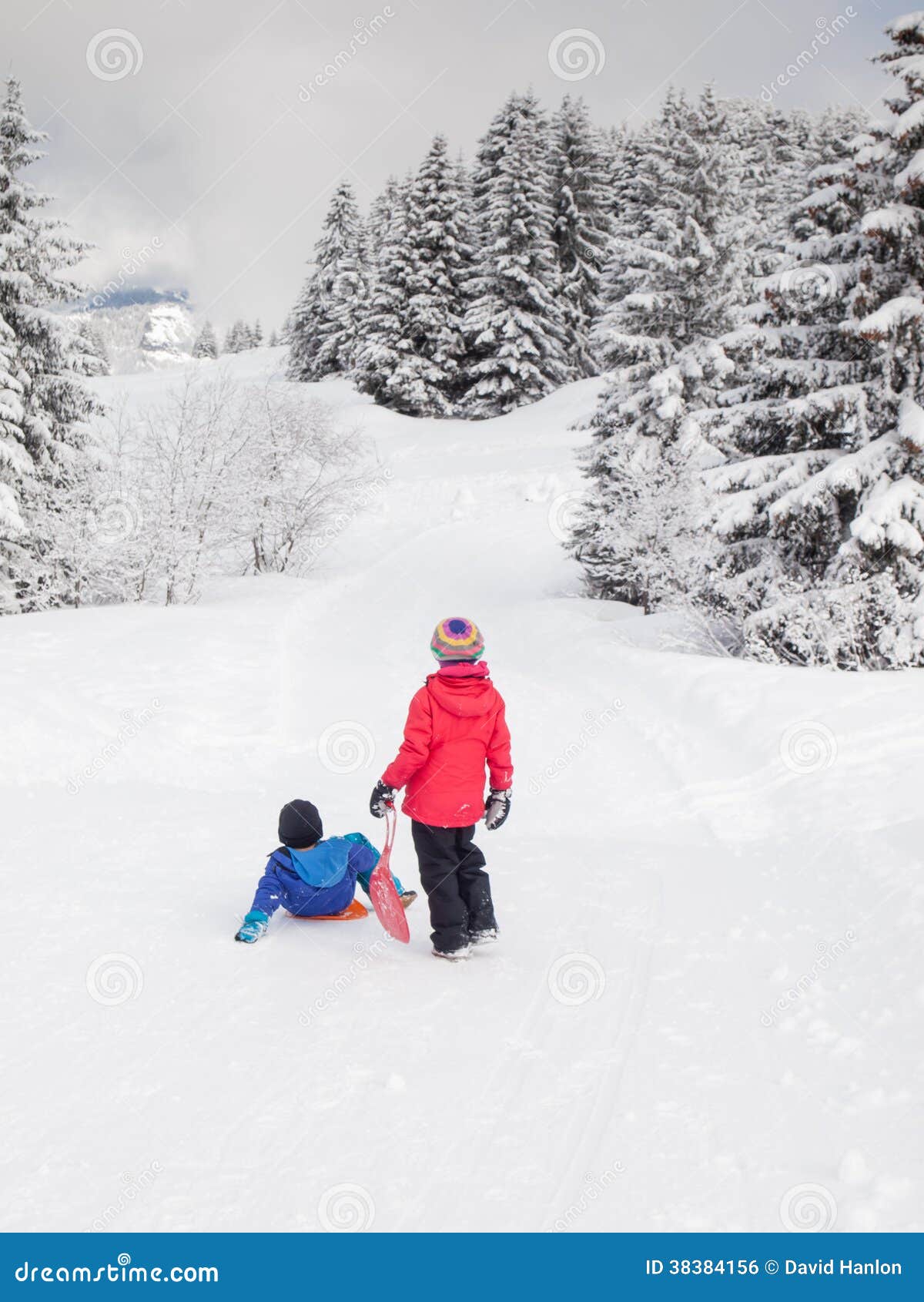 Small Children in Snow with Sledges Stock Photo - Image of french ...