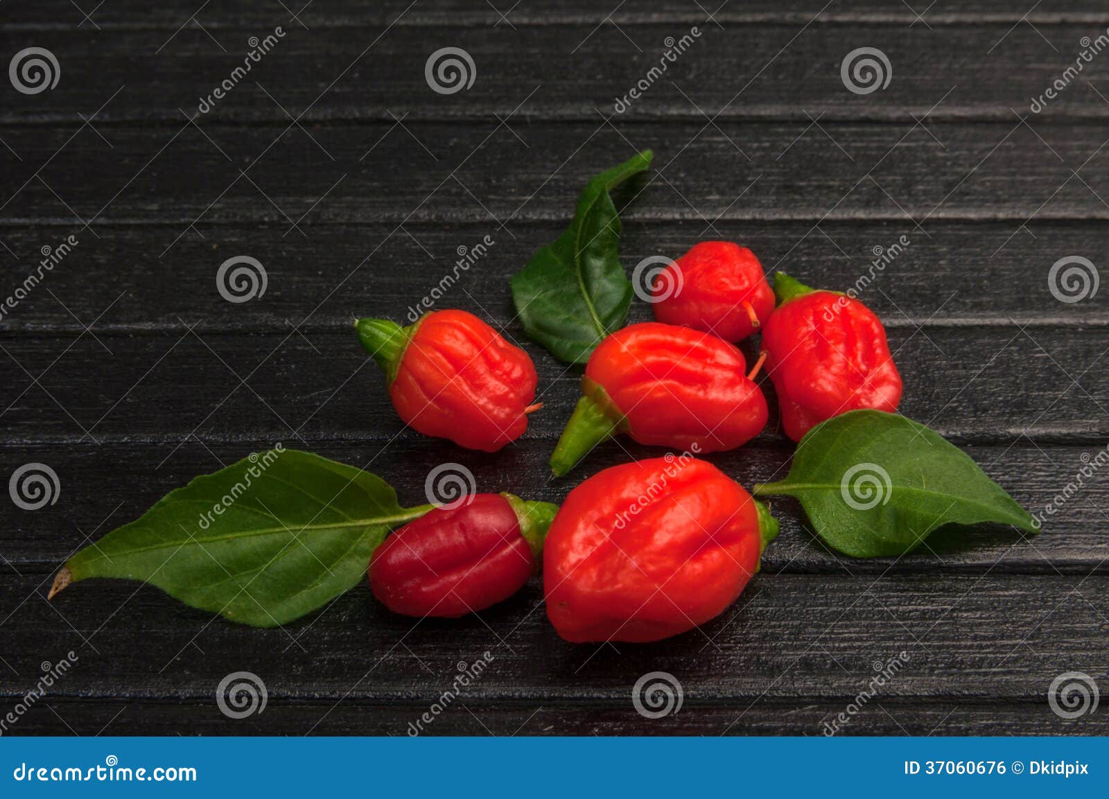 Small chili stock photo. Image of aromatic, chopping - 37060676