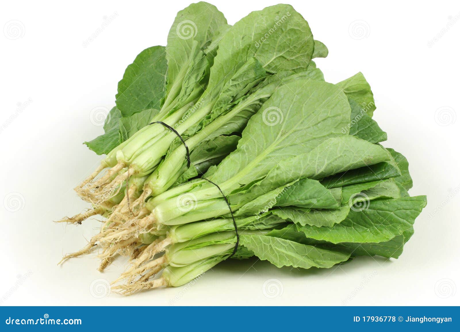 Small Chinese cabbage stock photo. Image of natural, healthy - 17936778