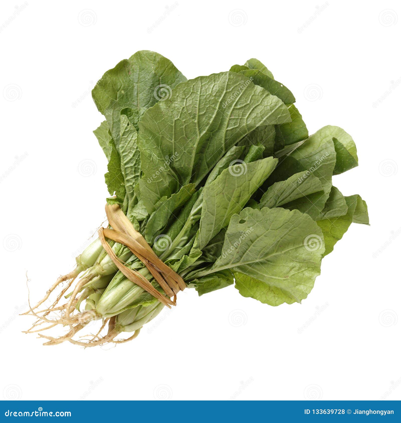 Small Chinese Cabbage stock photo. Image of cabbage - 133639728