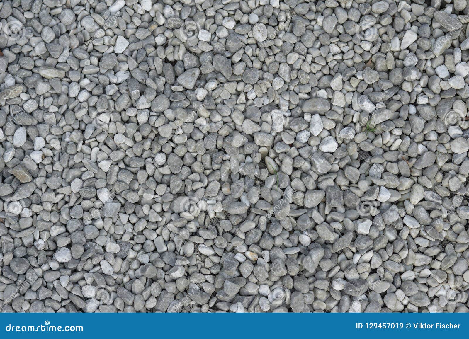 Small Chips of Marble for Landscaping Close-up, Textured Background ...