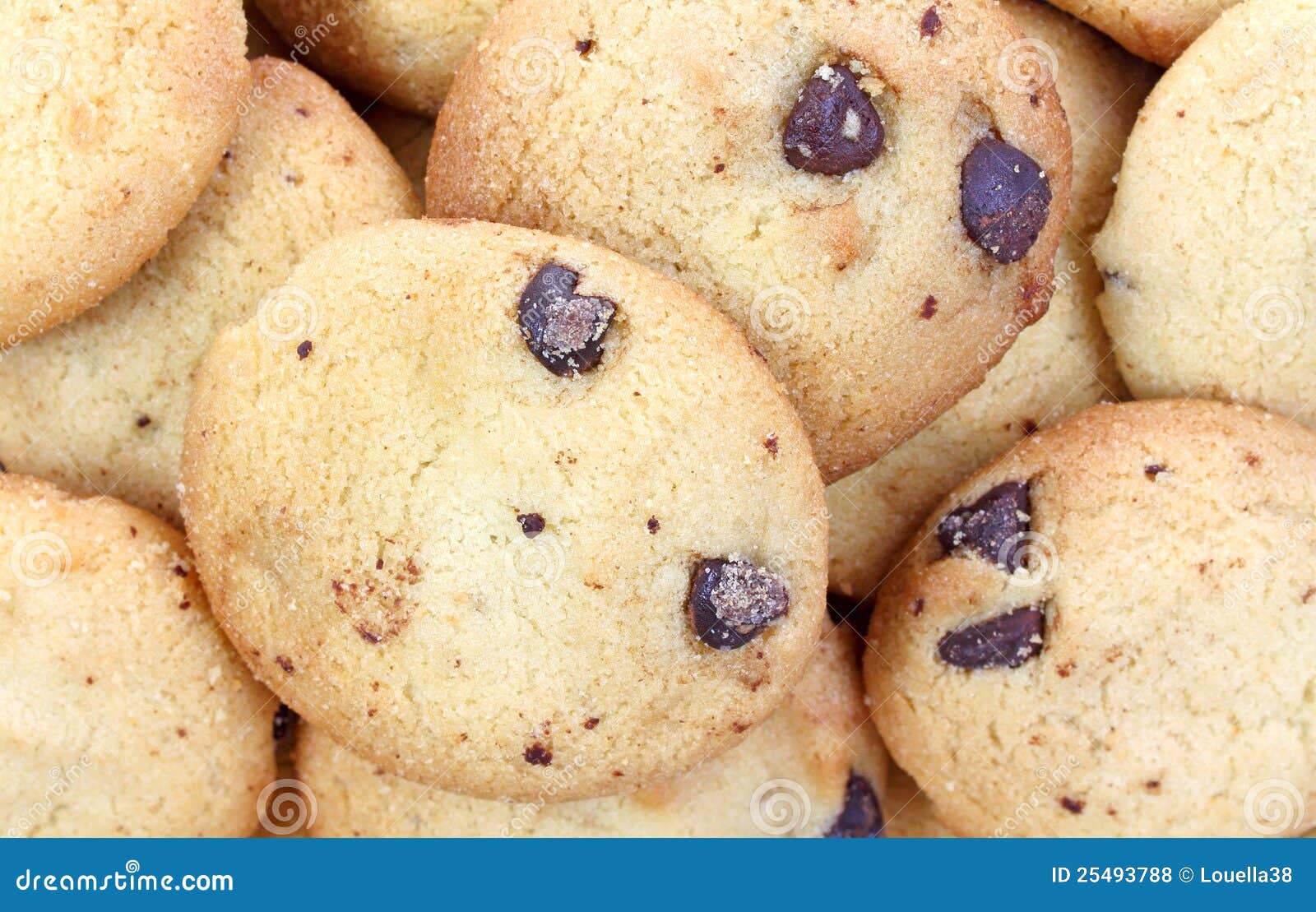 Small Chocolate Chip Cookies Up Close Stock Photo - Image of size ...