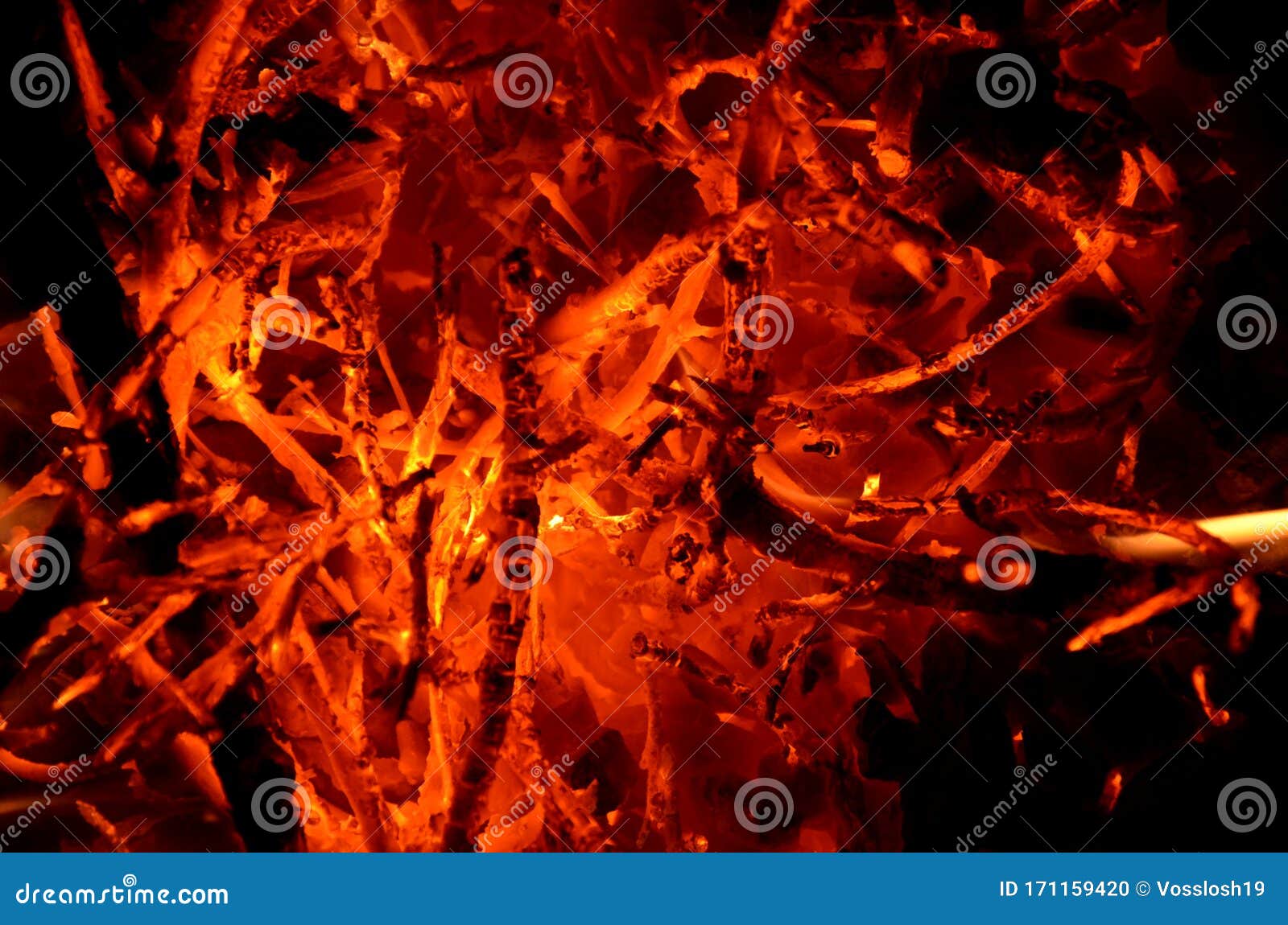 Chopped And Burn Tree Stumps Stock Photography | CartoonDealer.com ...