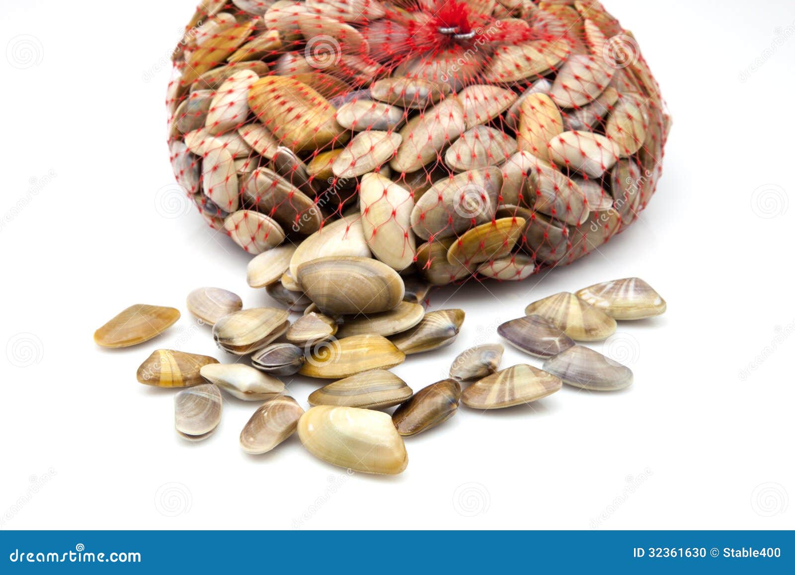 Small clams stock photo. Image of seafood, heap, market - 32361630