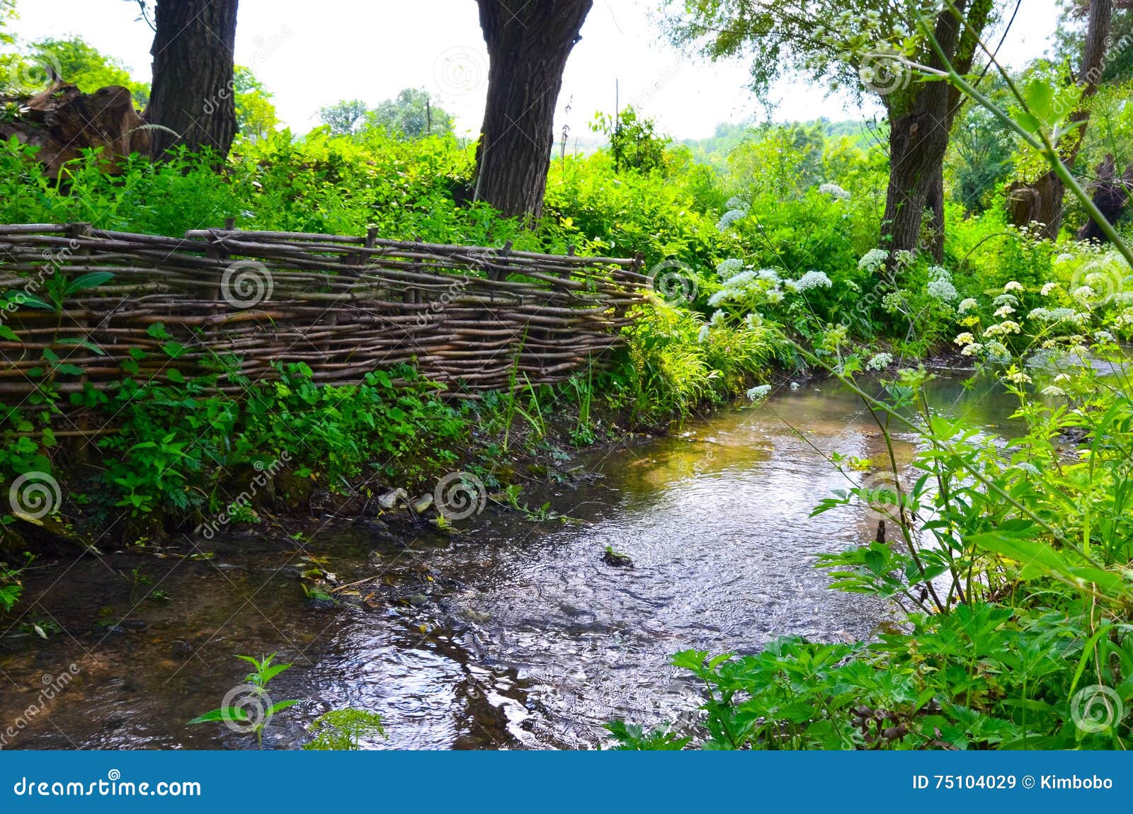 Small Clean River and Green Overgrown Banks Stock Image - Image of ...