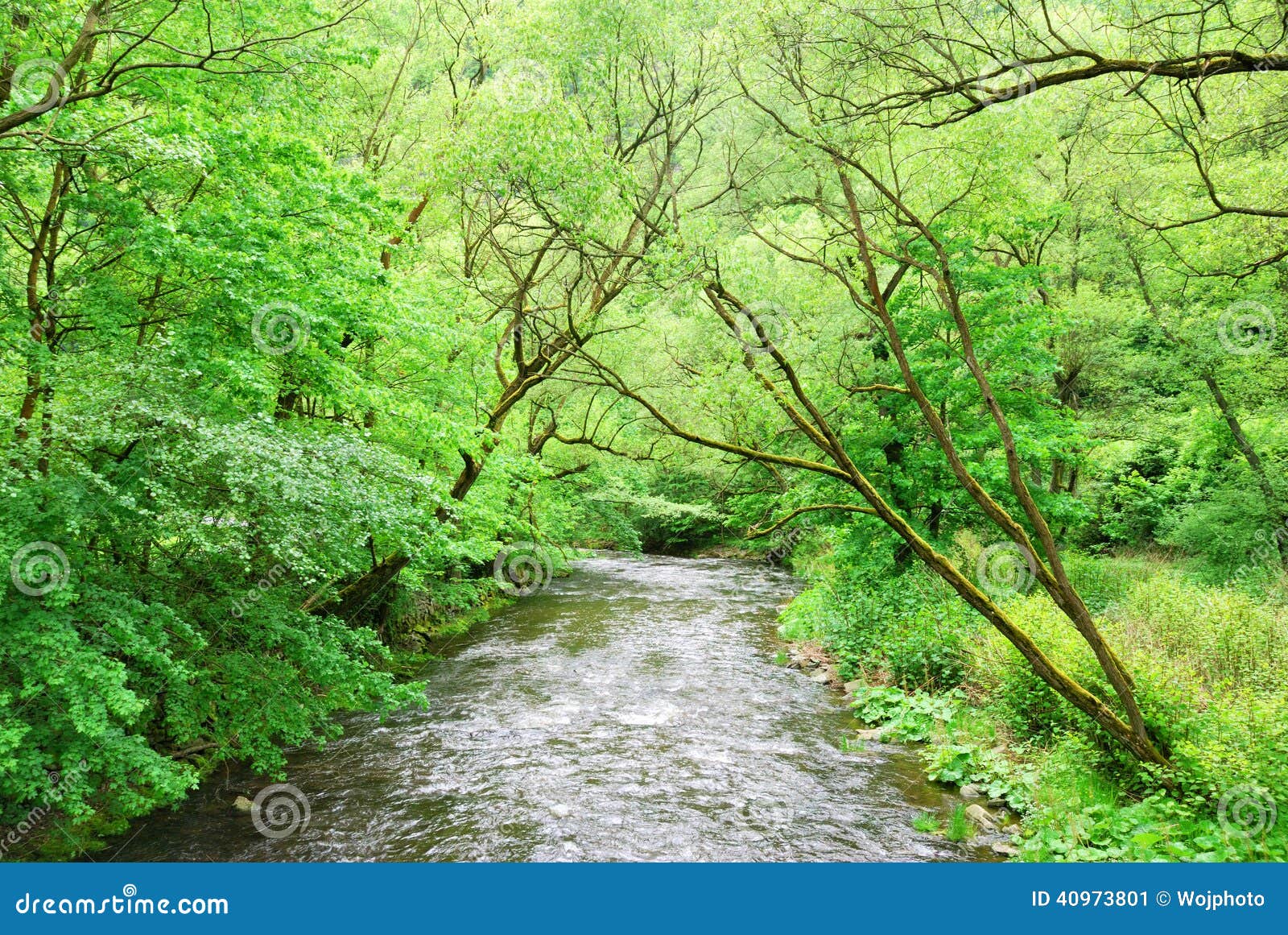 Clean River Formed By Melting Snow And Ice, Argentina Royalty-Free ...
