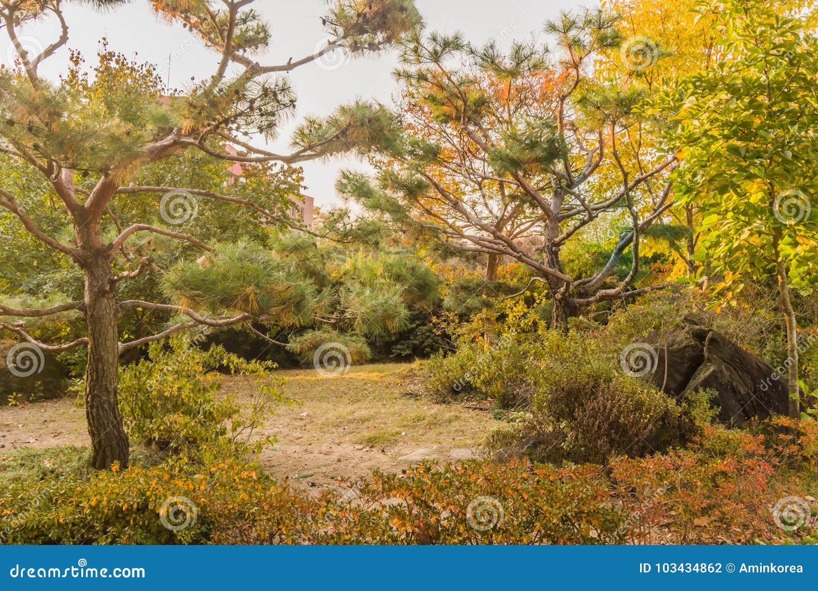 Small Clearing in a Park Like Setting Stock Photo - Image of autumn ...