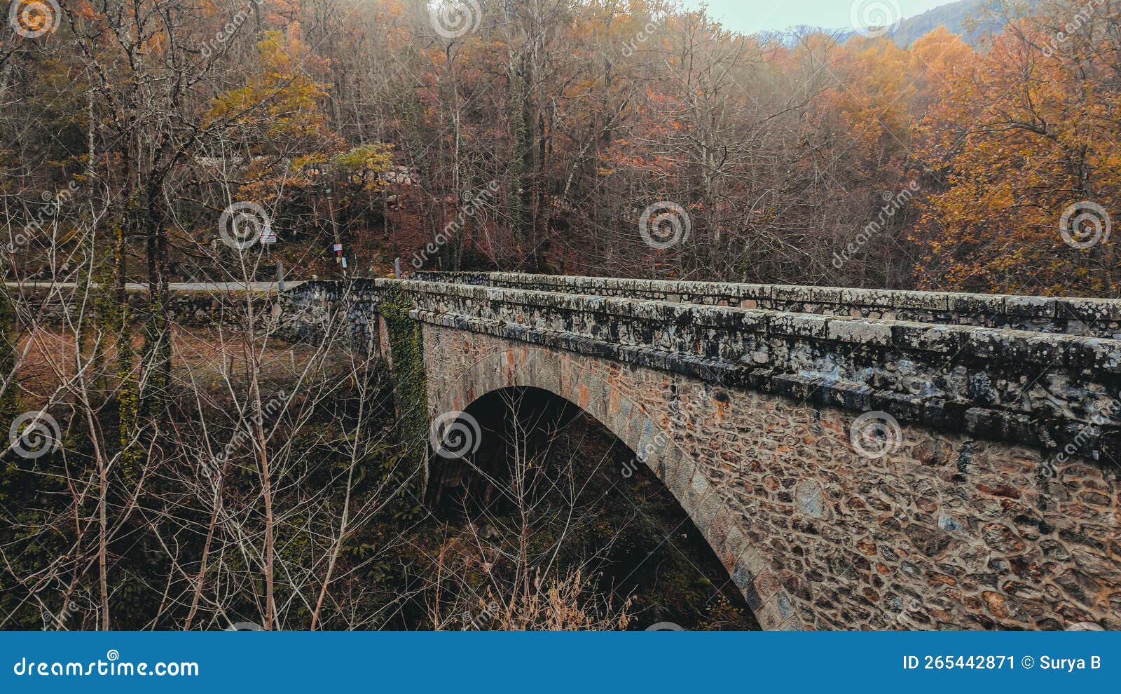 Small Cobblestone Bridge Near a Deciduous Forest. Stock Image - Image ...