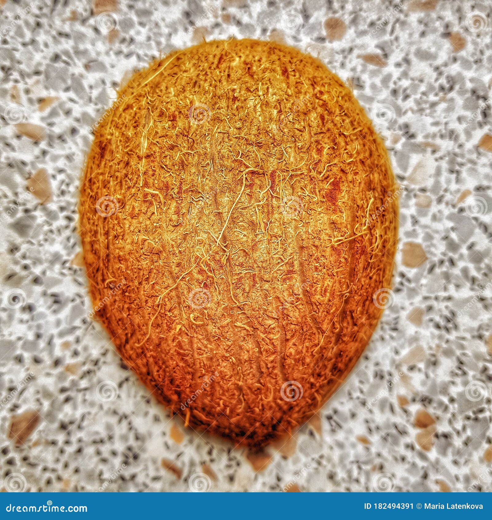 Small Coconut is Lying on the Stone Table. Stock Image - Image of ...