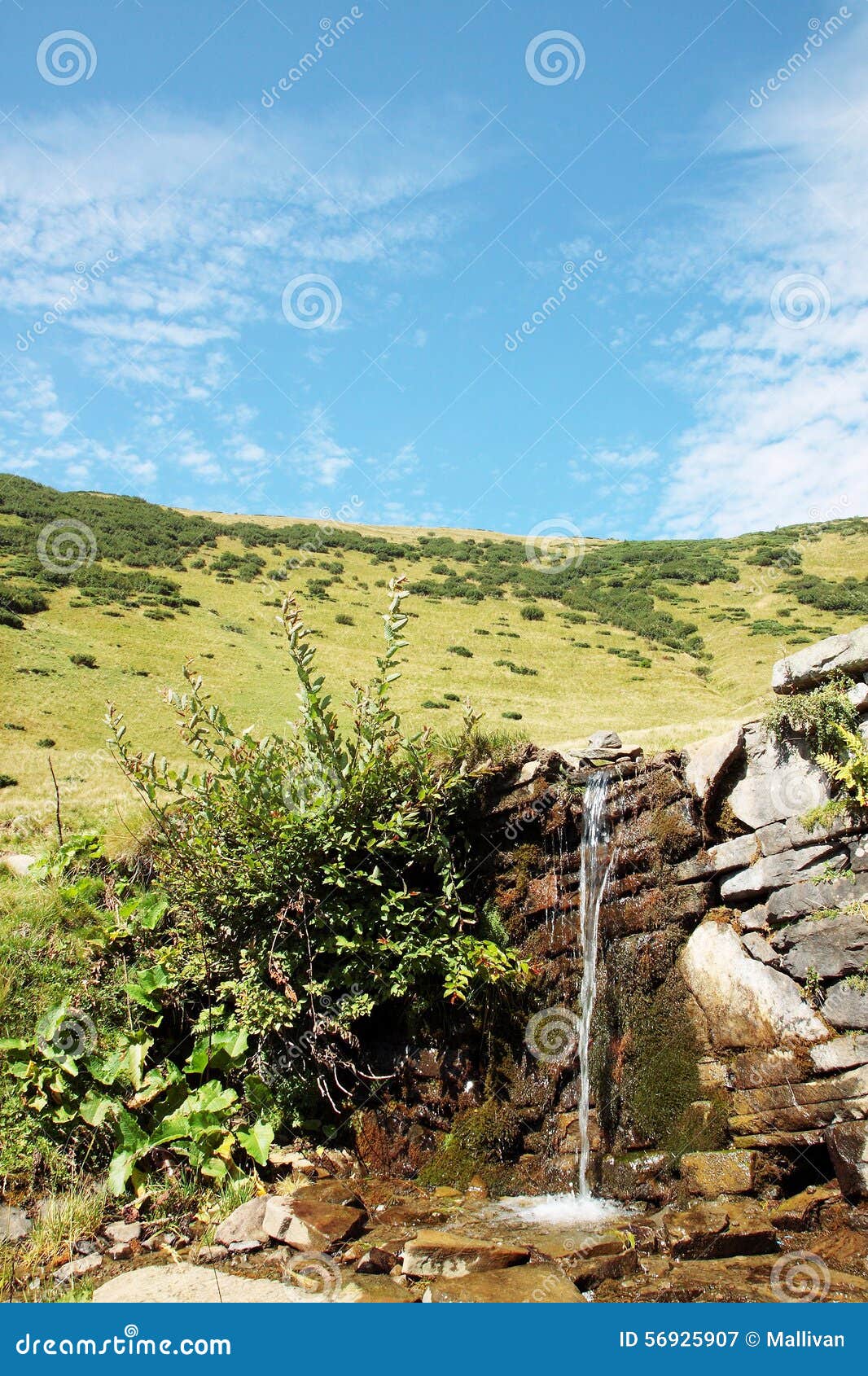 Small cold stream stock image. Image of area, beauty - 56925907