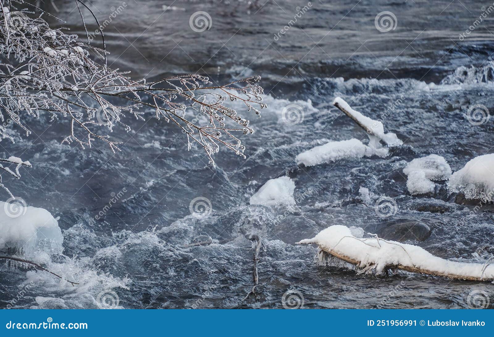 Small Cold Winter River, Focus on Snow Covered Tree Twigs and Bushes ...