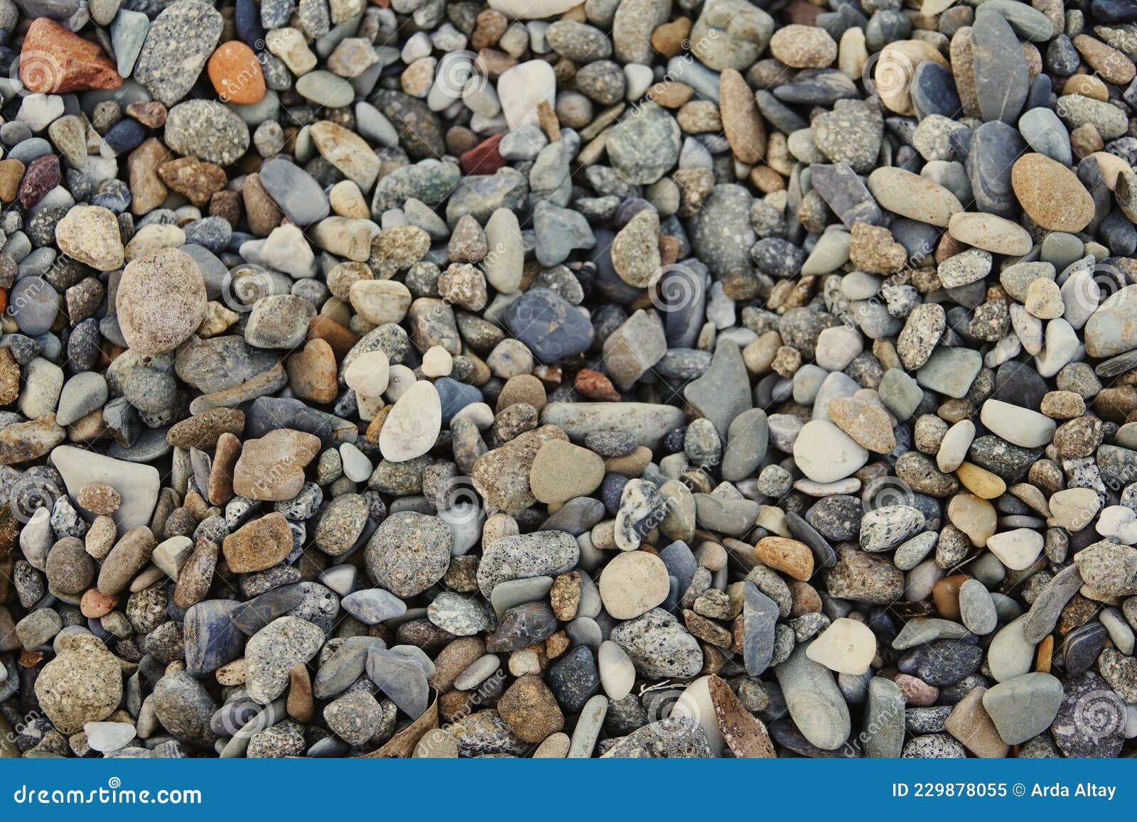 Small Colored Pebbles on the Beach Stock Image - Image of pebble ...