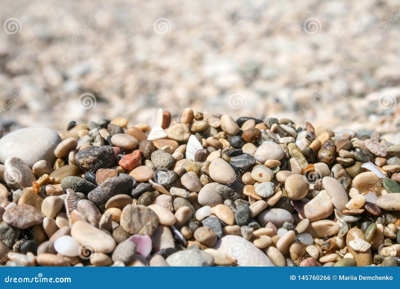 Small Sea Pebbles and Shells Against a Blurred Background Stock Photo ...