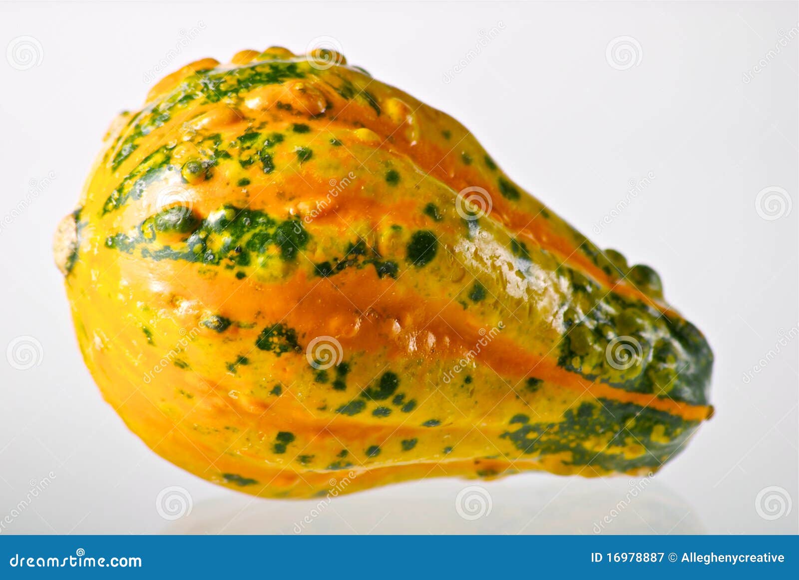 6,670 Small Colorful Squash Stock Photos - Free & Royalty-Free Stock ...