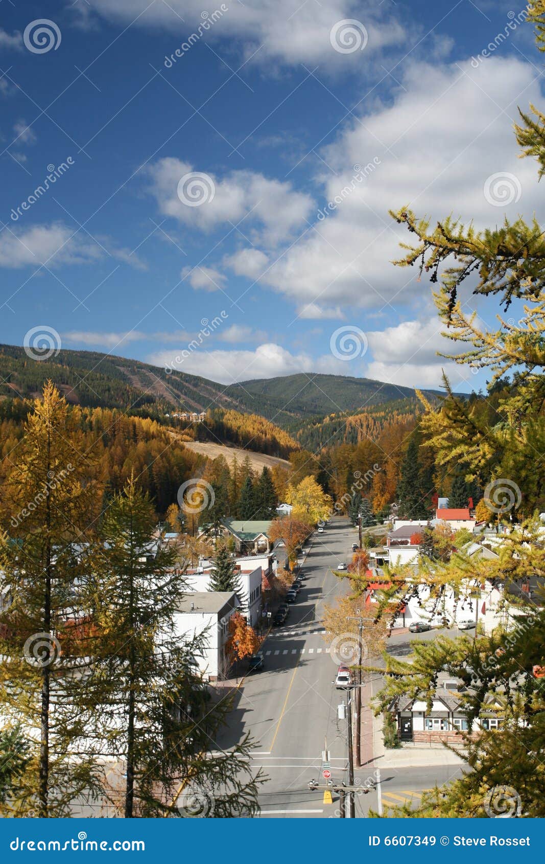 Small Community stock image. Image of forest, natural - 6607349