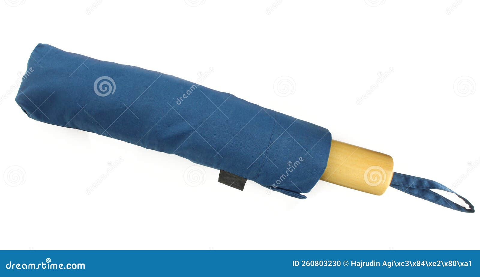 Small Casing Worm Animal Out Of Sheath Hanging On Wallpaper Royalty ...