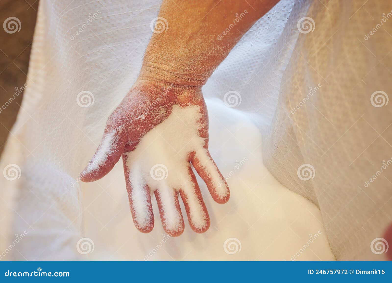 Palm Oil Nitrogen Deficiency Stock Image | CartoonDealer.com #166559083