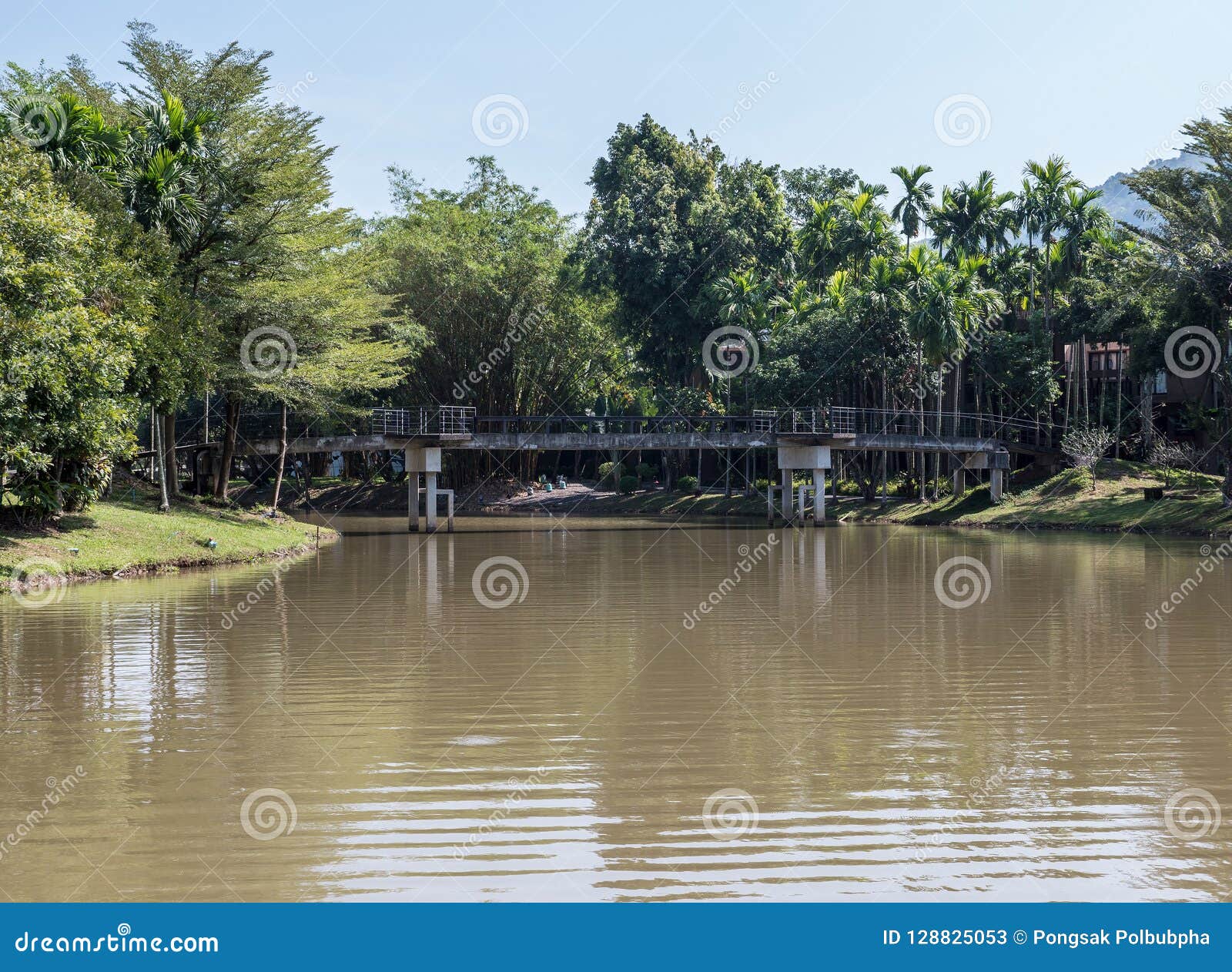 Small Concrete Bridge Which Overing the Reservoir. Stock Image - Image ...