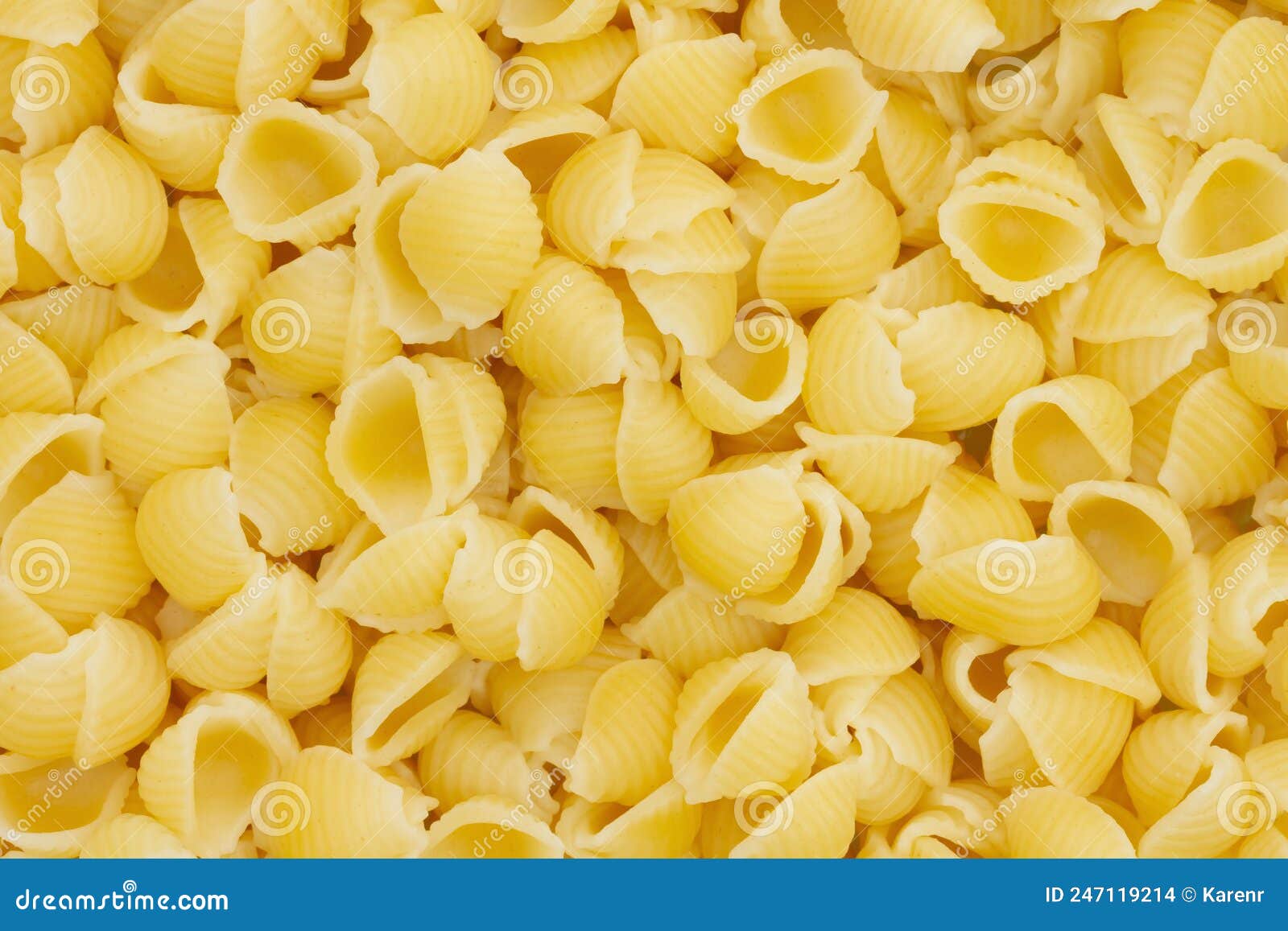 Small Cooked Shell Pasta Background Stock Photo | CartoonDealer.com ...