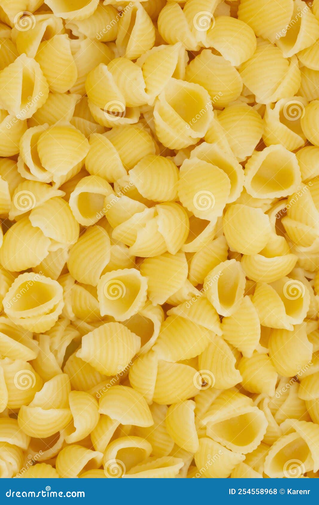 Small Cooked Shell Pasta Background Royalty-Free Stock Image ...