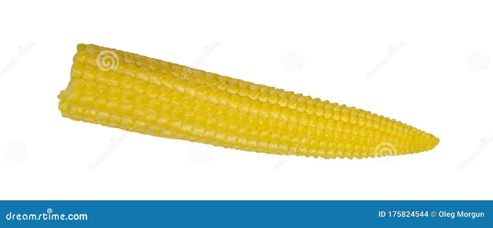 Small corn stock photo. Image of vegetable, vegetarian - 175824544