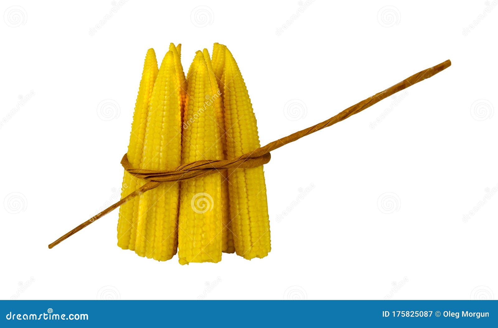Small corn stock image. Image of corncob, grain, eating - 175825087