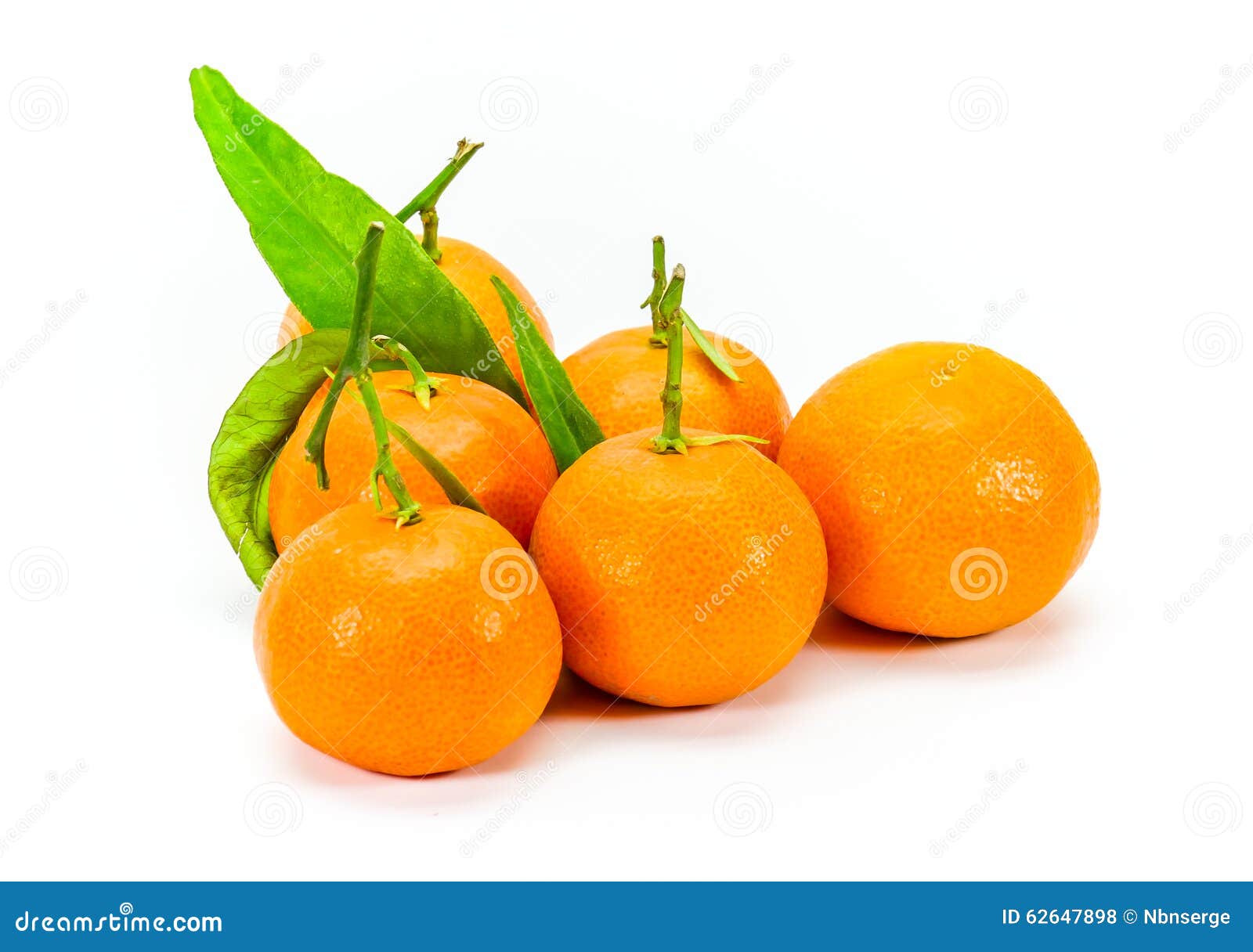 Small Corsican Clementines stock photo. Image of vitamin - 62647898