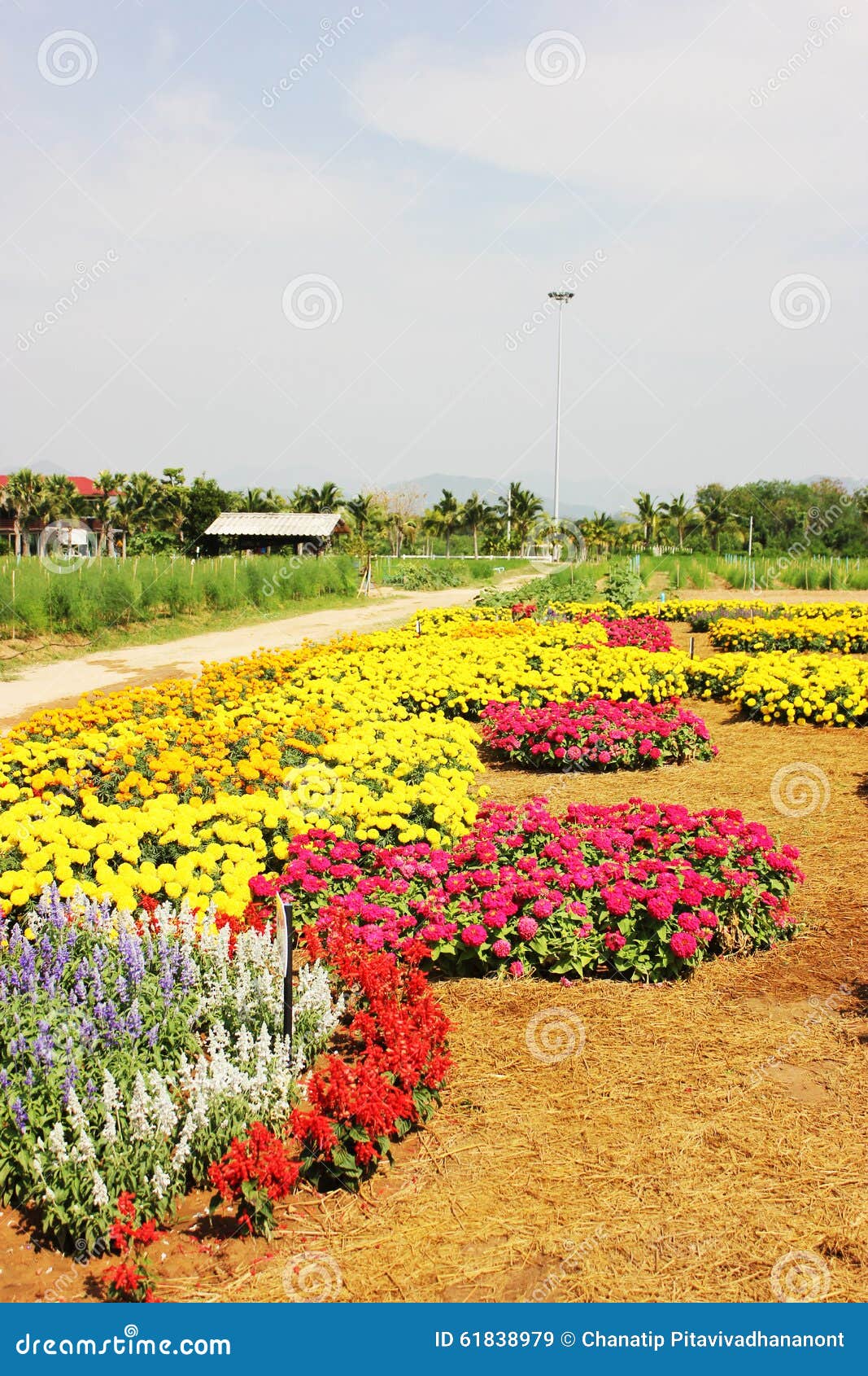 Small Cottage in Beautiful Flower Garden with Blue Sky Stock Image ...