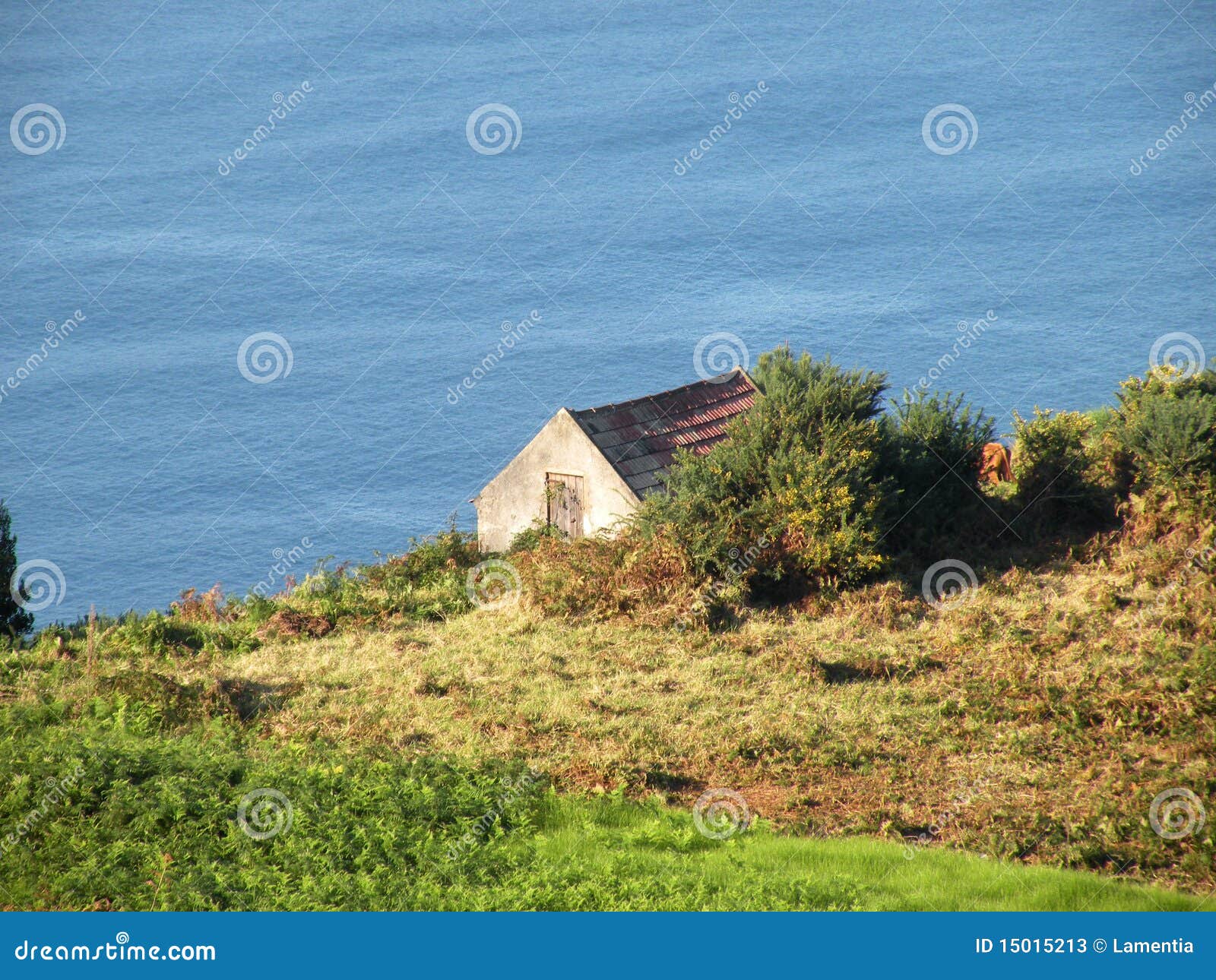 Small cottage near the sea stock image. Image of lake - 15015213