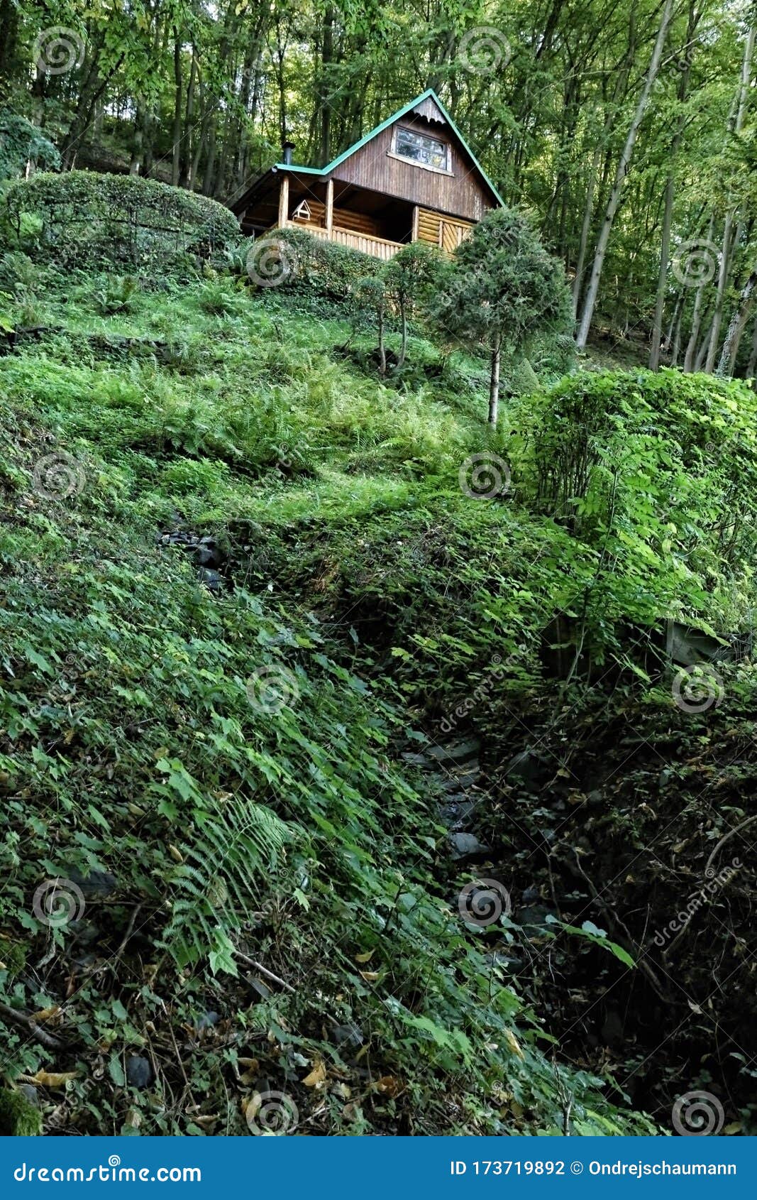 Scrubby Hill Stock Photos - Free & Royalty-Free Stock Photos from ...