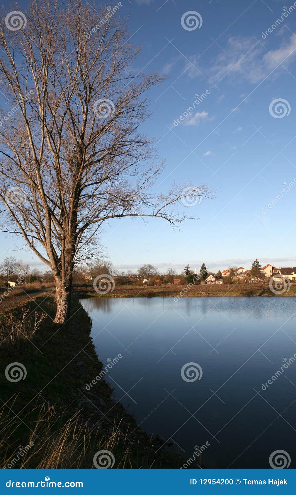 Small country pond stock photo. Image of design, landscape - 12954200