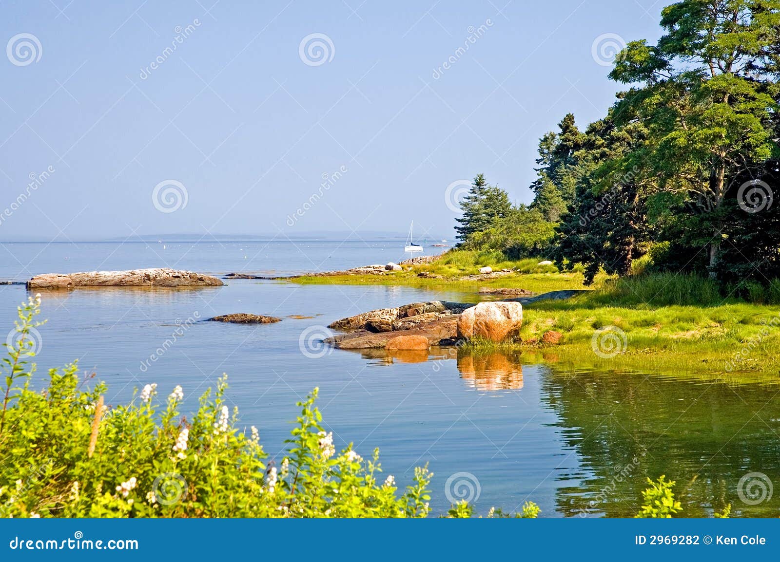 Small Cove Along Maine Coast Stock Photo - Image of ocean, summertime ...