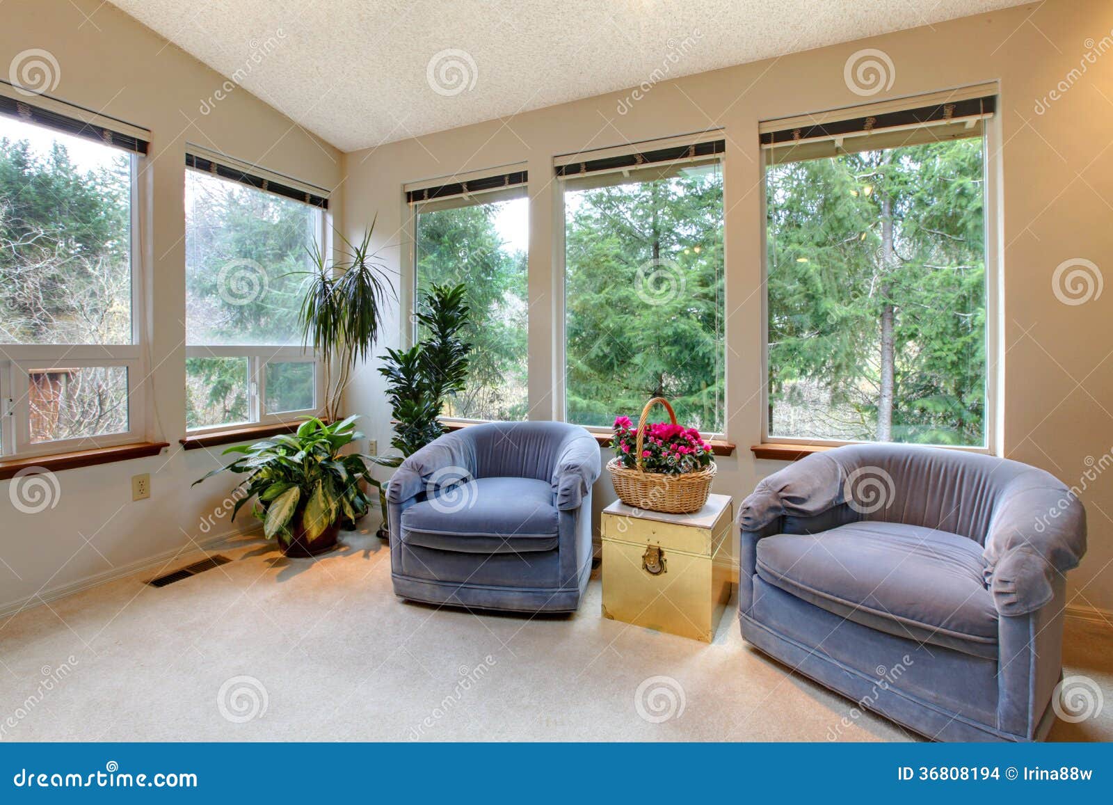 Small cozy living room stock photo. Image of basket, home - 36808194