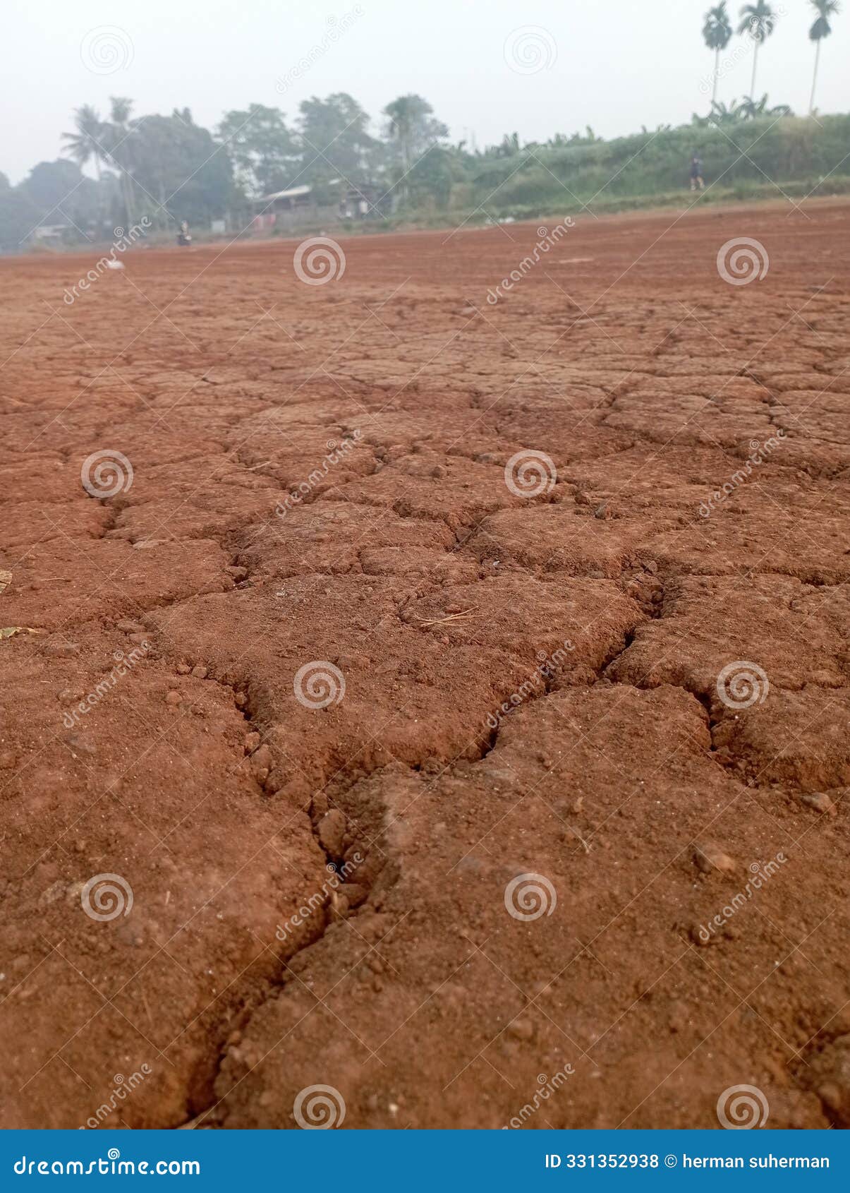 Small Cracks in Dry Soil Caused by a Long Dry Season Stock Photo ...