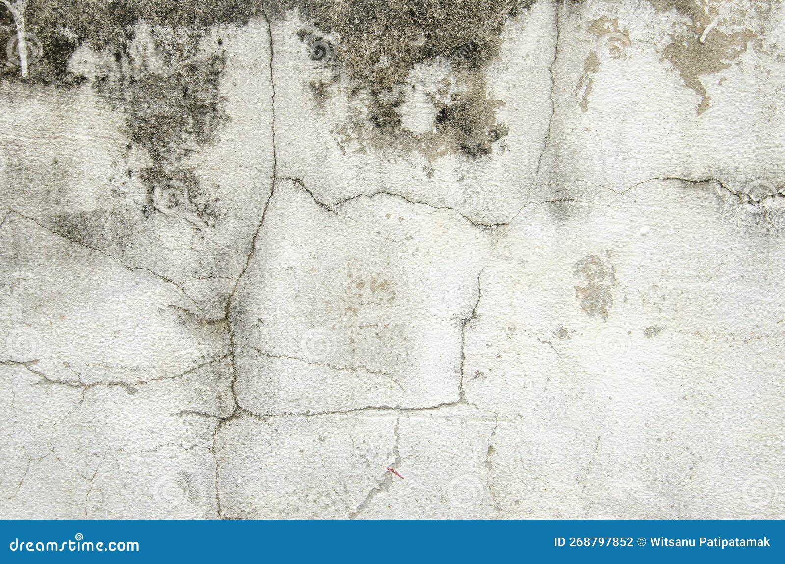 Small Cracks on Old Cement Surface with Mold on Surface Stock Photo ...