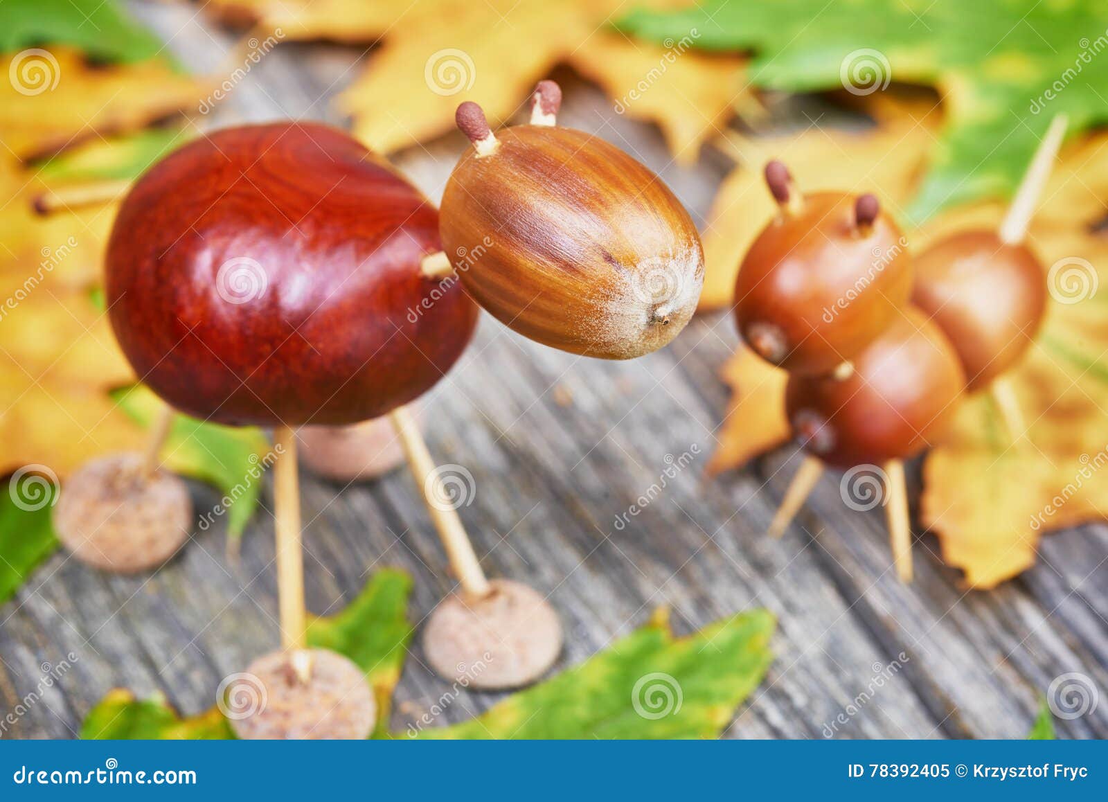 Small Creatures Made of Chestnuts and Acorns Stock Image - Image of ...