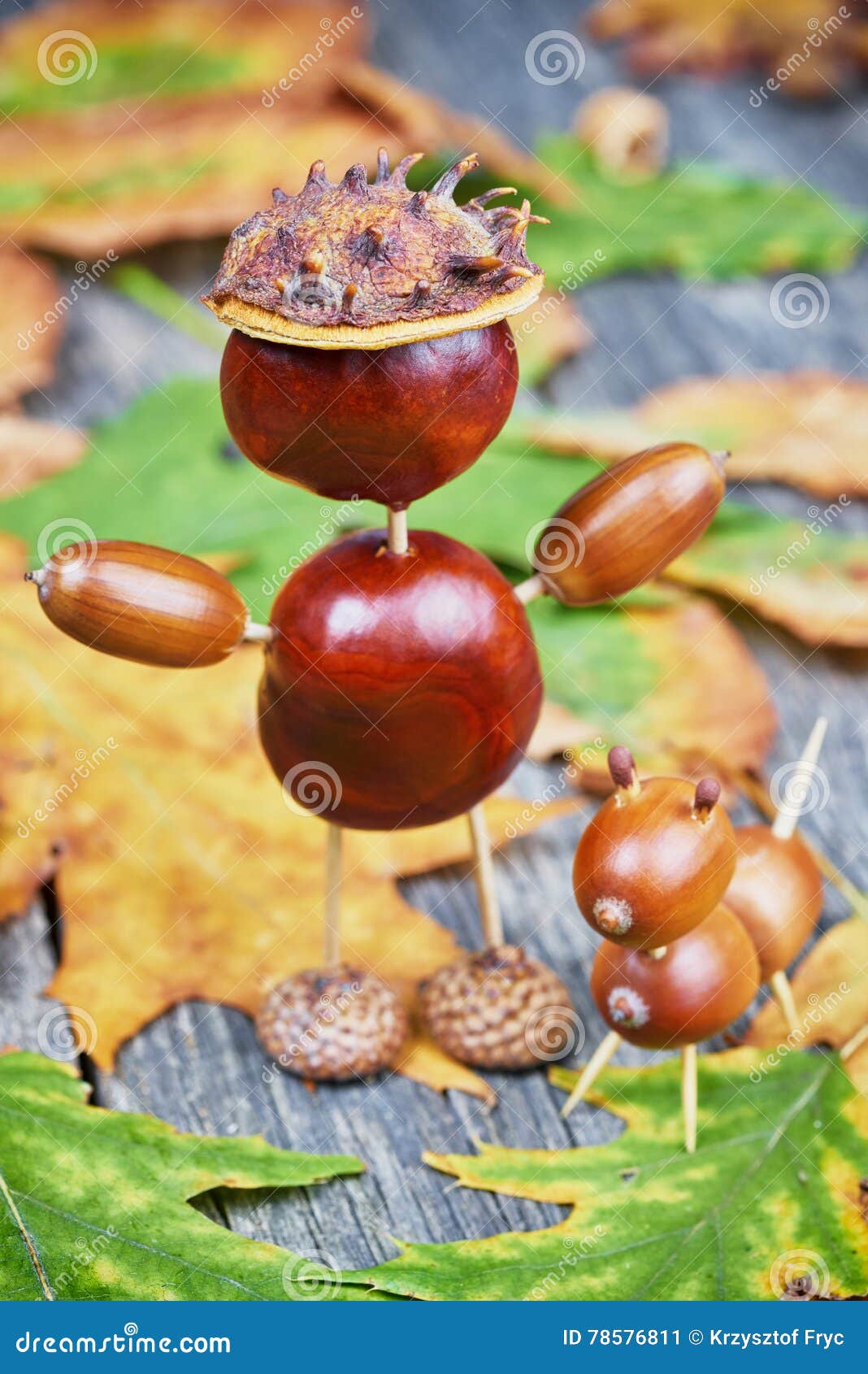 Small Creatures Made of Chestnuts and Acorns Stock Image - Image of ...