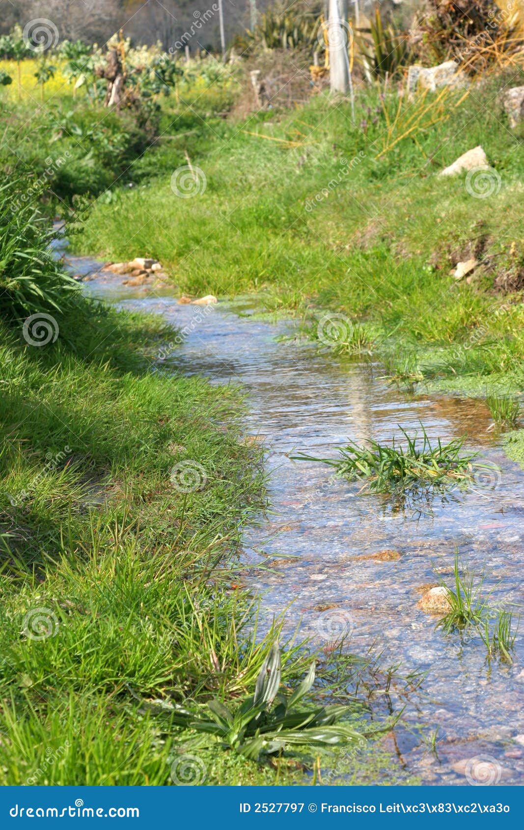 Small creek stock image. Image of fluid, small, swirl - 2527797