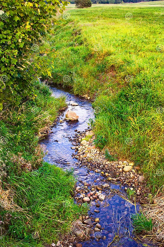 Small creek stock image. Image of creek, runnel, green - 2817053