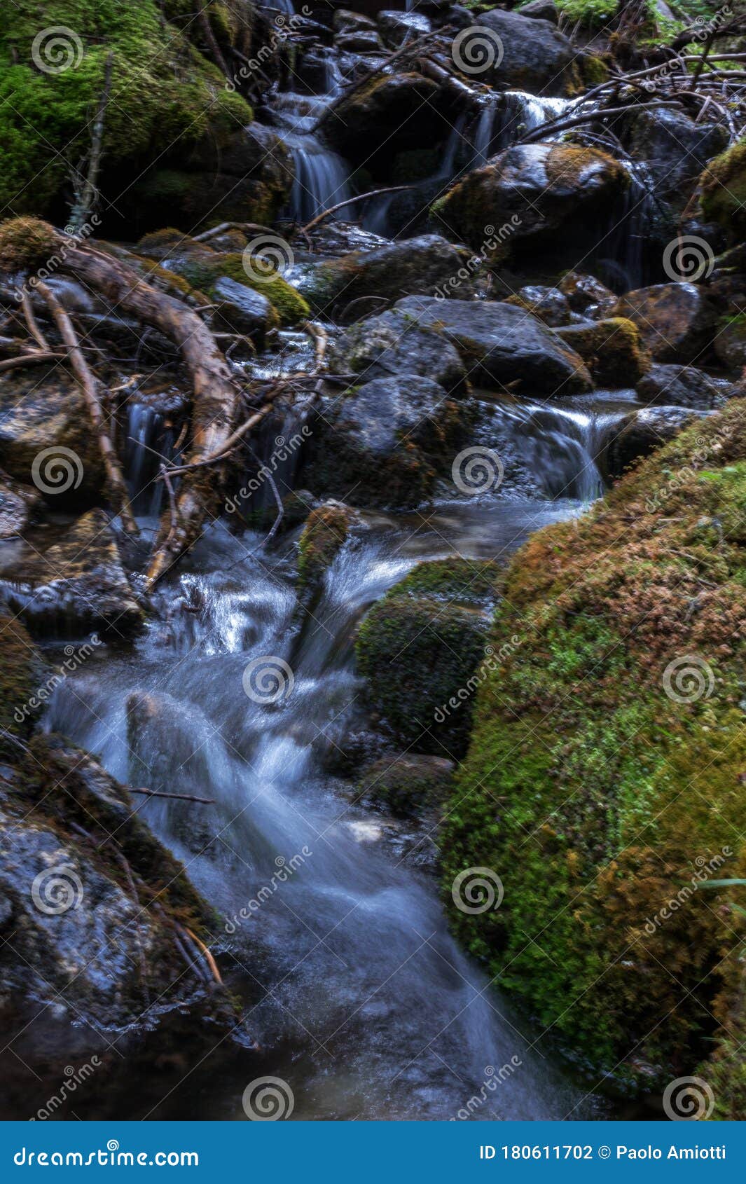 Small creek stock photo. Image of natural, outdoors - 180611702