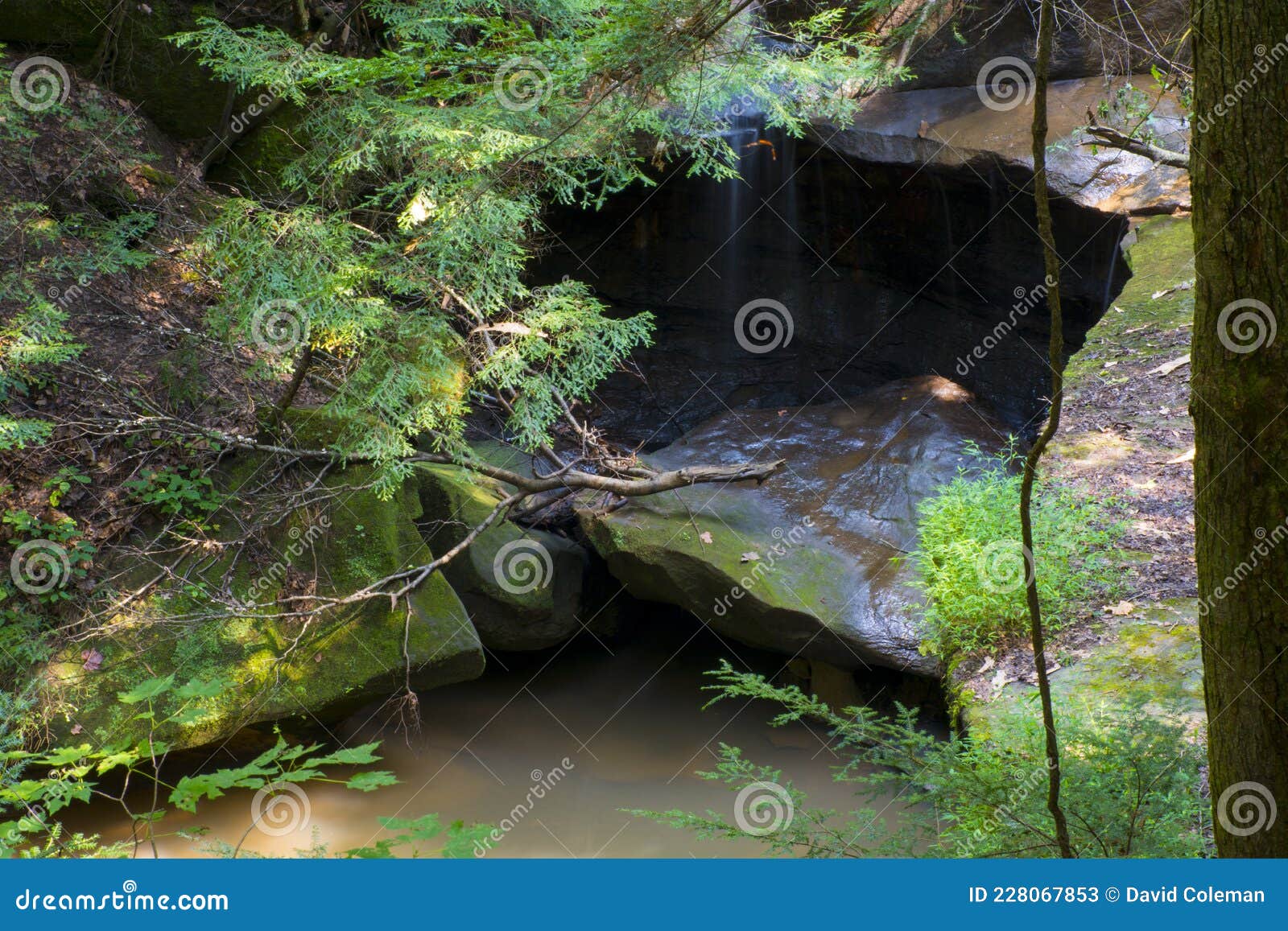 Large Pool of Water at Base of Cliff Stock Image - Image of forest ...