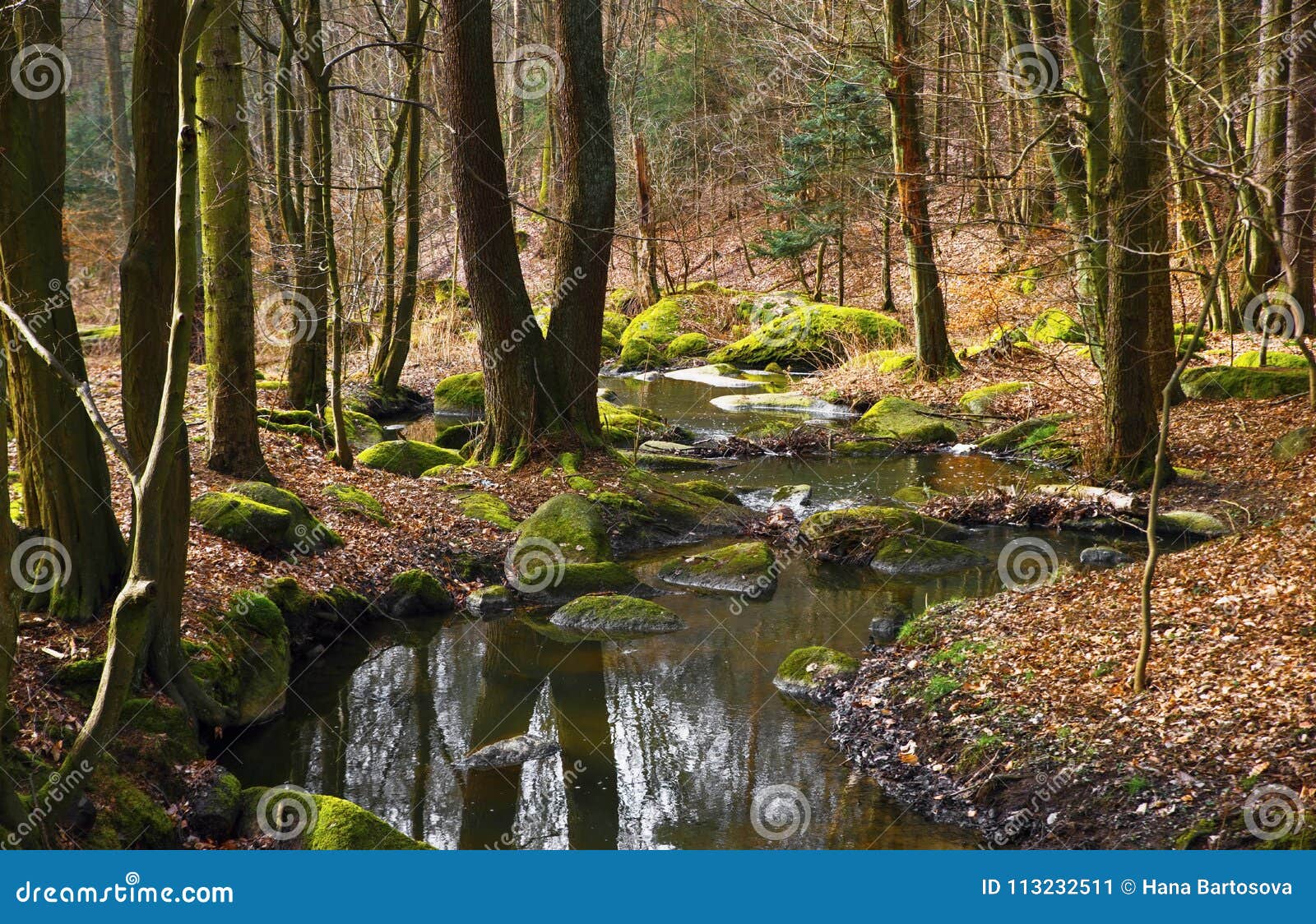 Small Creek with Moss Coverd Stones. Stock Image - Image of flow ...
