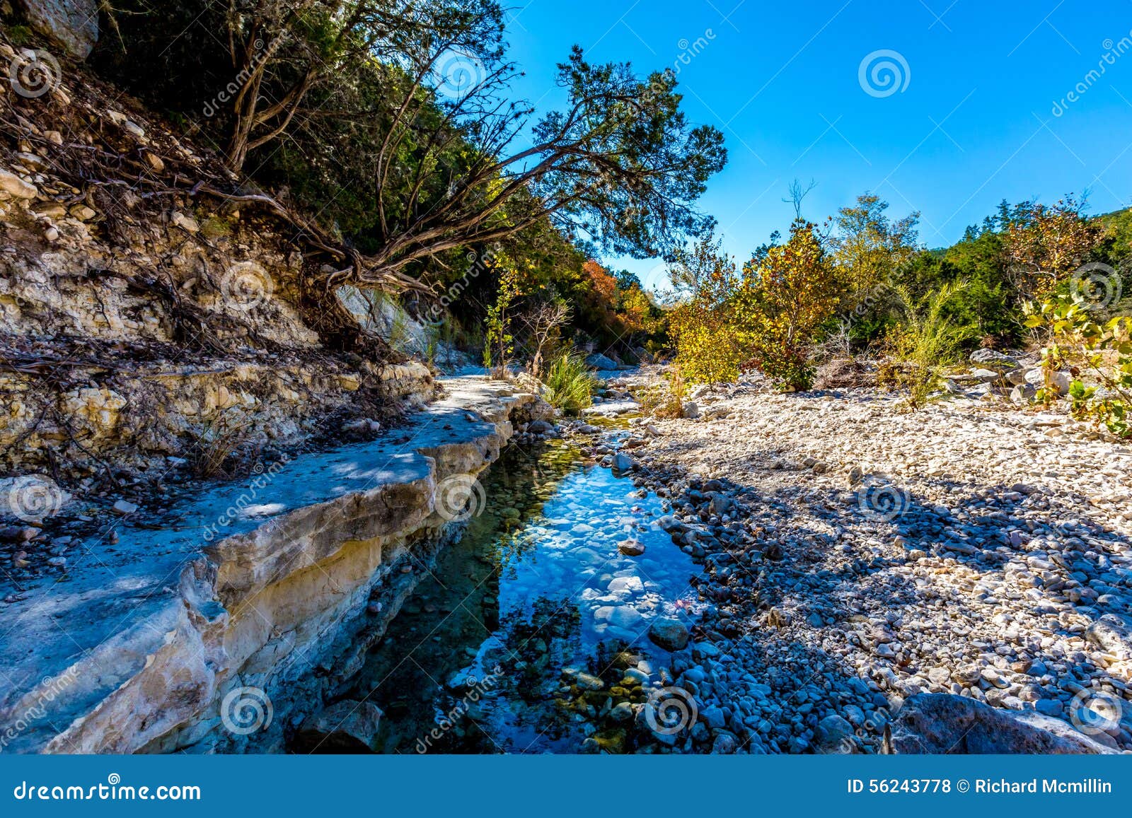 Small Creek or River in Texas Stock Photo - Image of clear, river: 56243778